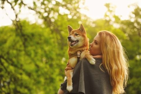 Hormonal Imbalance Symptoms in Dogs and Cats
